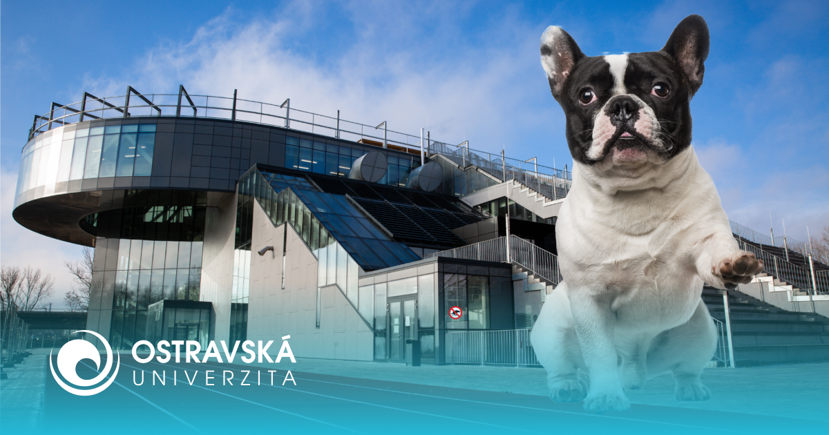 Tohle vám zamotá hlavu - OU@live