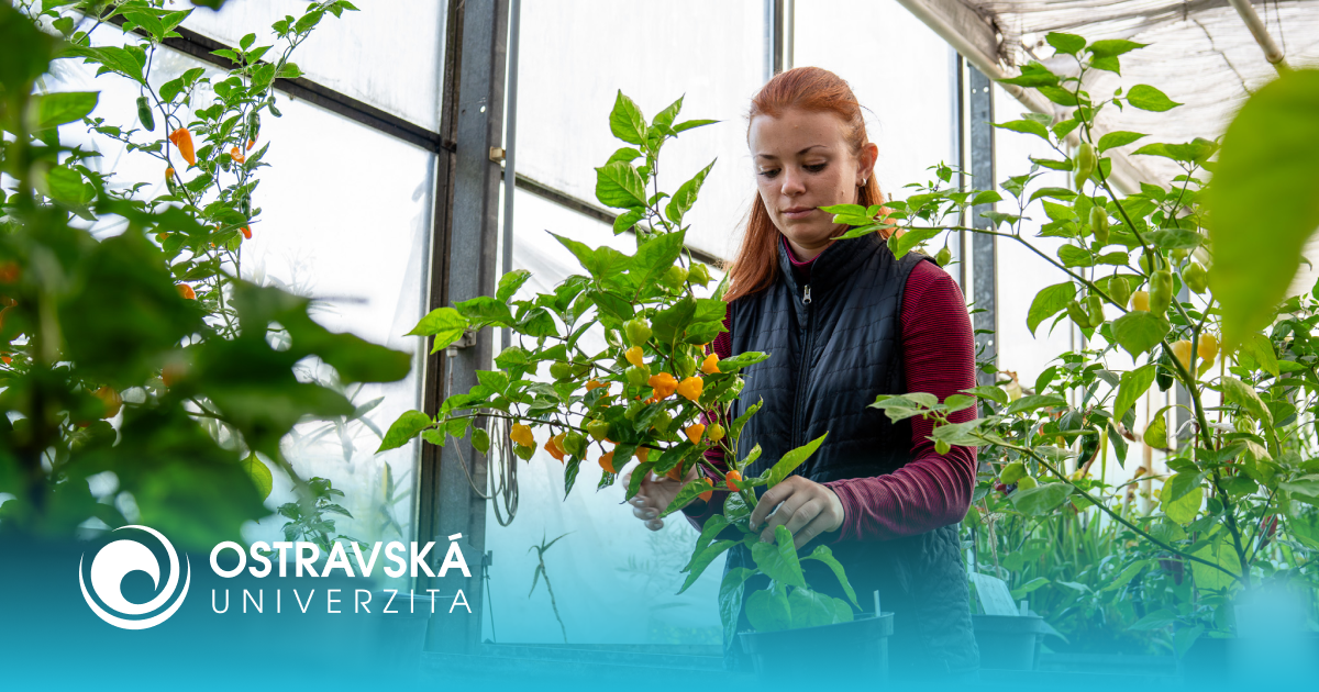Dorazte do Botanické zahrady pokochat se úrodou i ochutnat! - OU@live